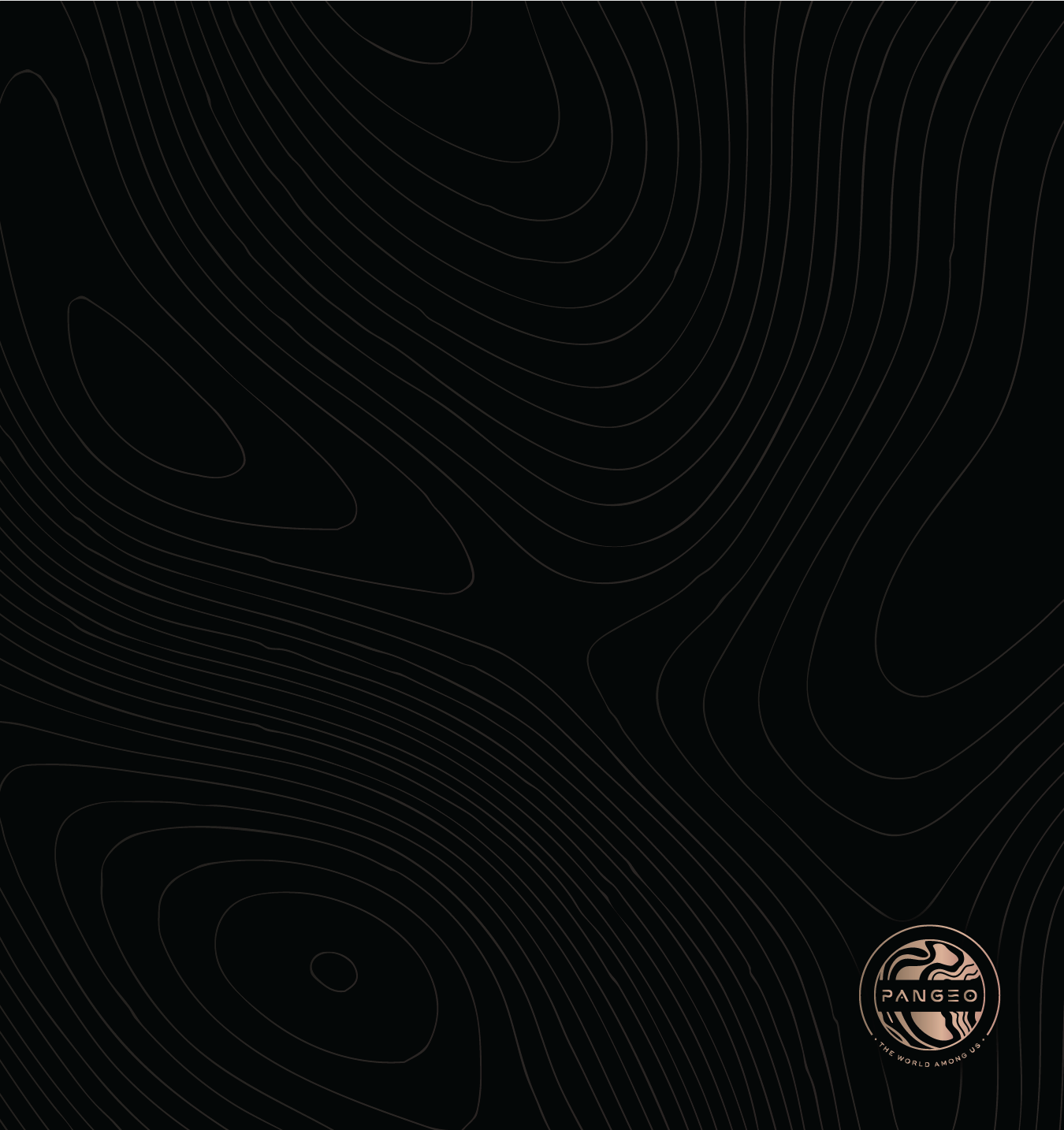 Explore Our Exquisite Global Menu | Pangeo Bengaluru